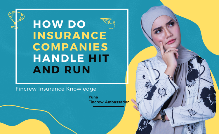 Understand How Do Insurance Companies Handle Hit And Run